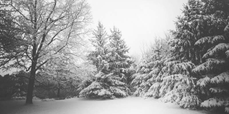 ¿Sabes cómo se forma la nieve y por qué su color es blanco? - Usted ...